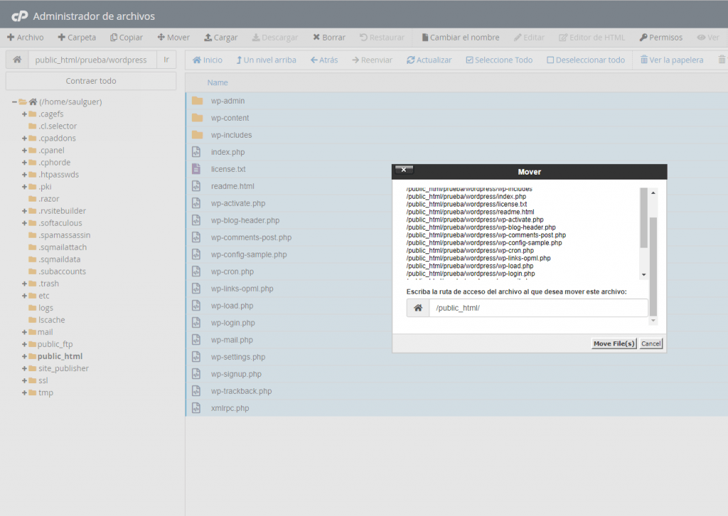 Como subir tu sitio web desde cPanel utilizando el administrador de ...